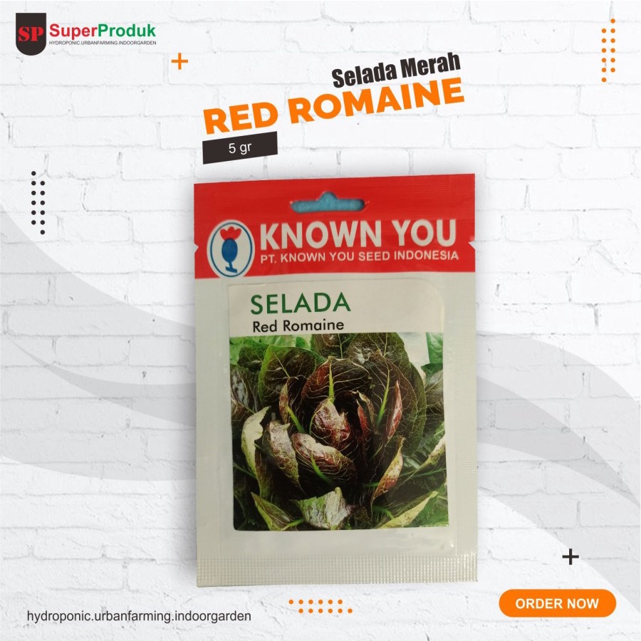 Jual Selada Red Romaine Known You Seed | Shopee Indonesia