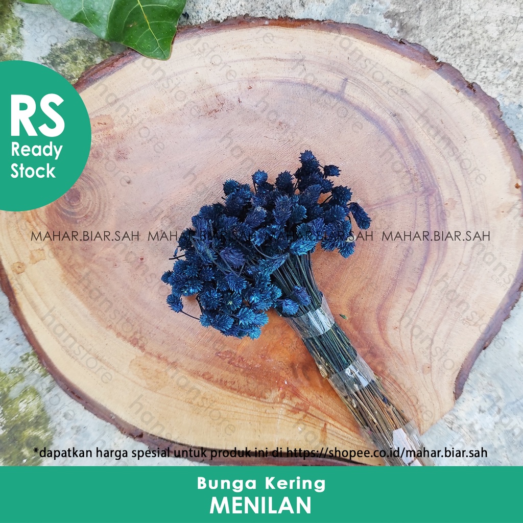 Jual RS 20 gram Bunga Kering Menilan / Printilan / Trinil / Bunga ...