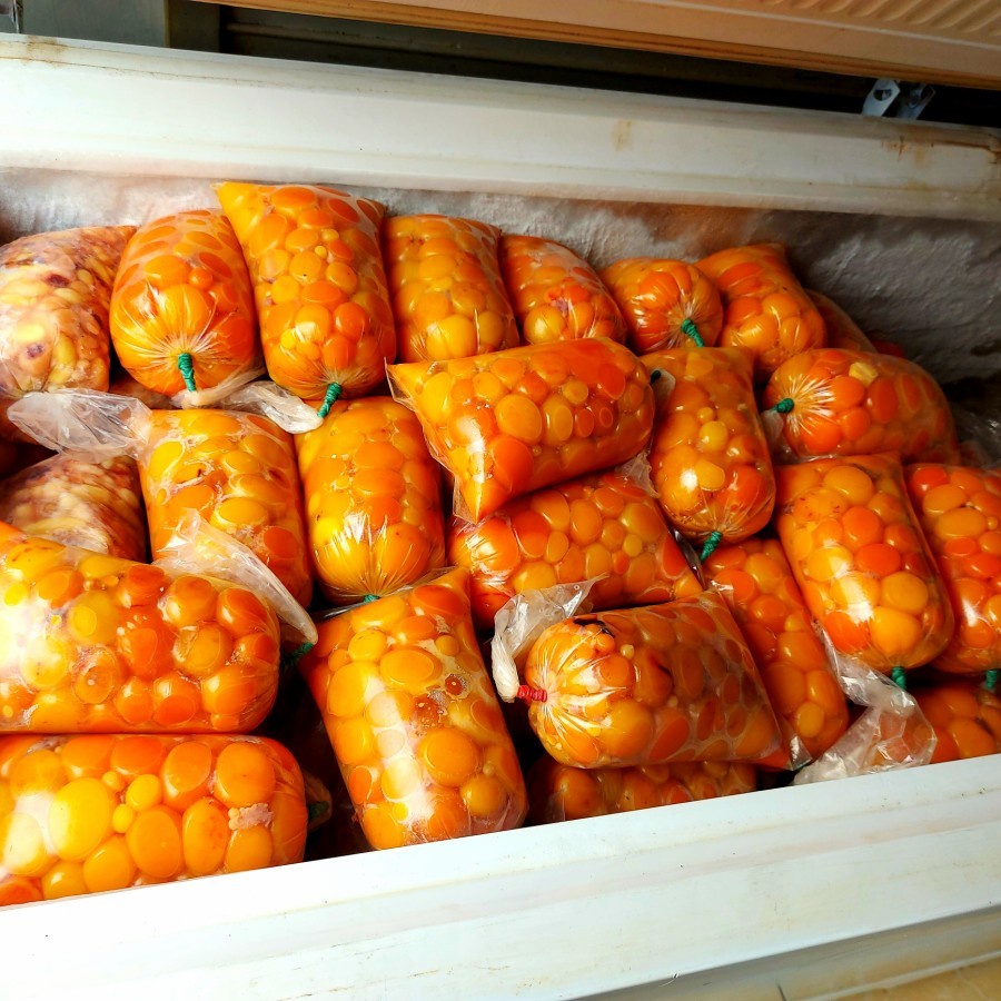 Jual telur ayam muda 1kg | Shopee Indonesia