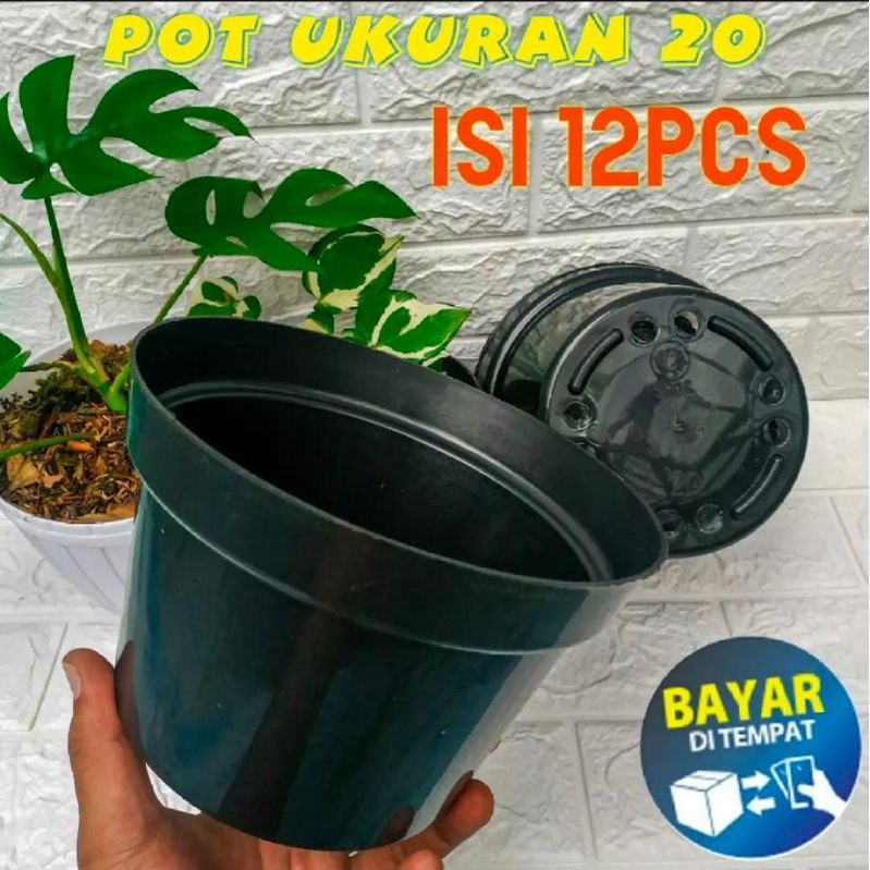 Jual POT HITAM UKURAN 20 DIAMETER 19 ISI 12 PIC (SATU LUSIN)POT TANAMAN ...