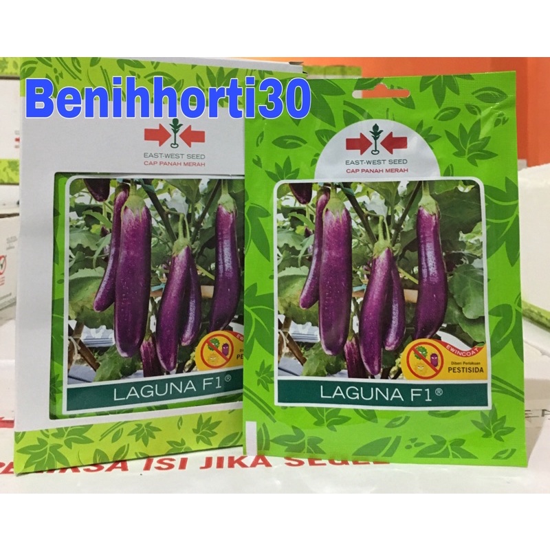 Jual Benih Terong Ungu Laguna f1 isi 400 butir | Shopee Indonesia Jual Benih Terong Ungu Laguna f1 isi 400 butir | Shopee Indonesia