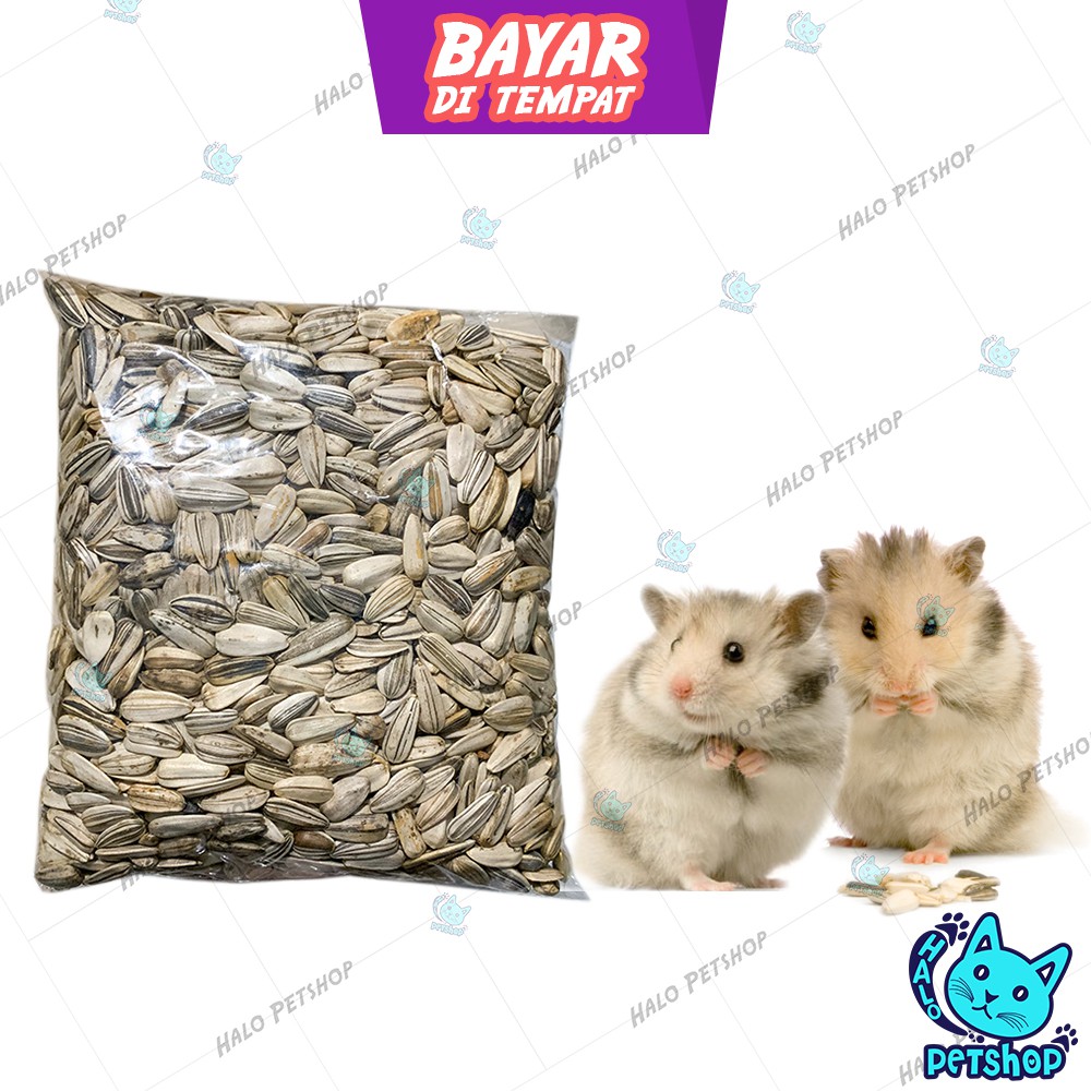 Jual Kuaci Makanan Hamster Tupai Landak Mini Sugar Glider 140gr ...