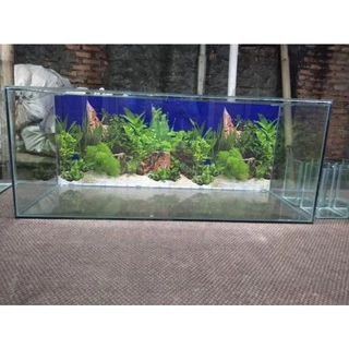 Jual aquarium 60x30x30 Harga Terbaik & Termurah Desember 2025 | Shopee ...