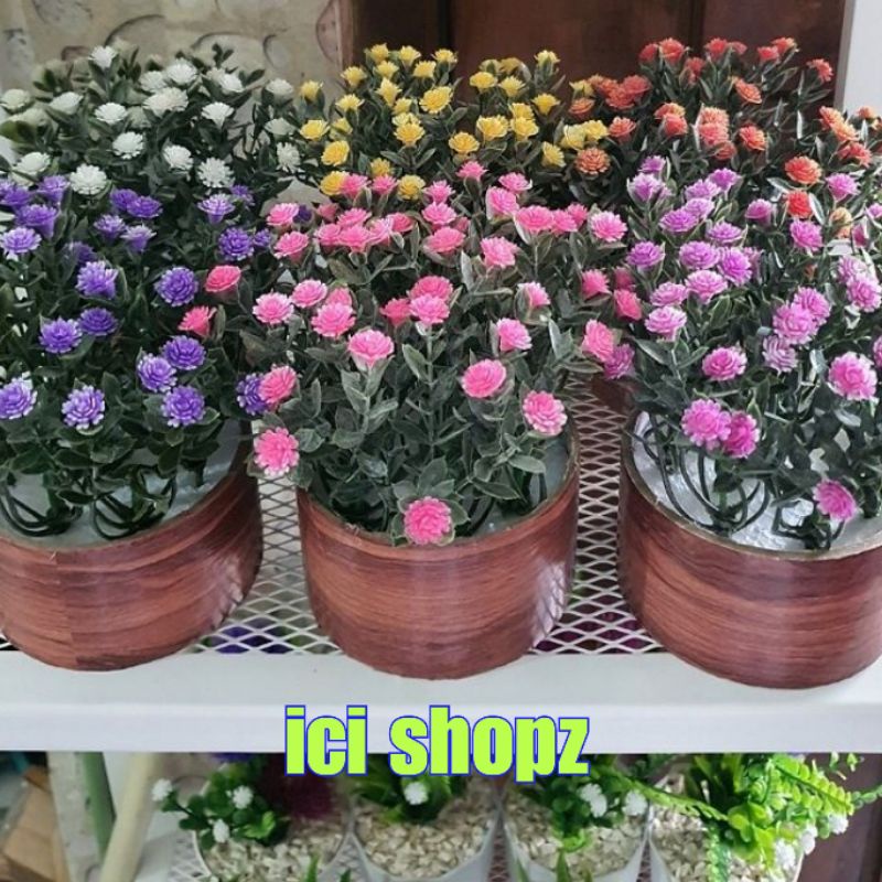 Jual Bunga Baby Breath Mini Plus Pot ( Full Set ) | Shopee Indonesia