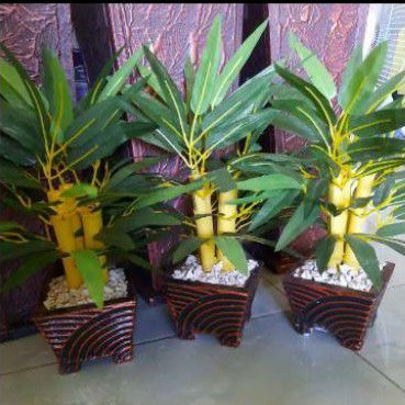 Jual Bunga Hias/ Bambu mini / Bunga Bambu | Shopee Indonesia