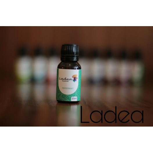 Jual aromatherapy essential oil pengharum ruangan Peppermint | Shopee ...