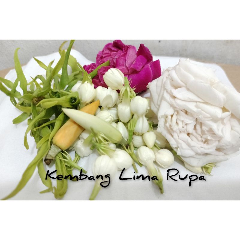 Jual bunga setaman kembang 5 rupa wangi paket murah | Shopee Indonesia
