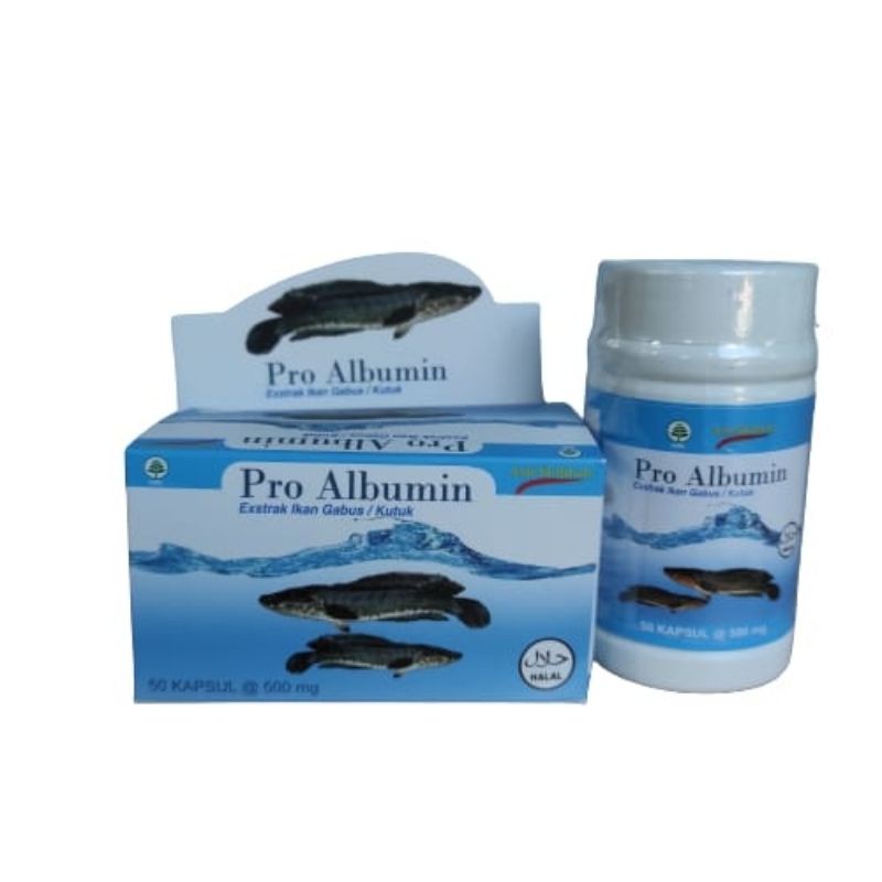 Jual Pro Albumin Ekstrak Sari Kutuk atau Ikan Gabus Ash Shihhah isi 50 kapsul | Shopee Indonesia