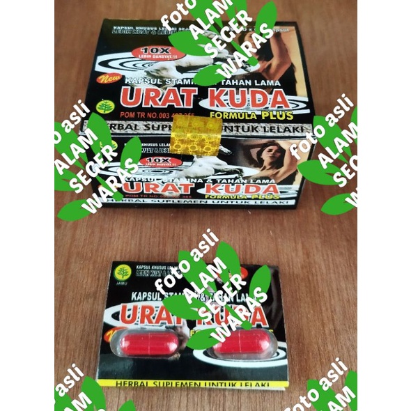 Jual ECER urat kuda blister 2 kapsul | Shopee Indonesia