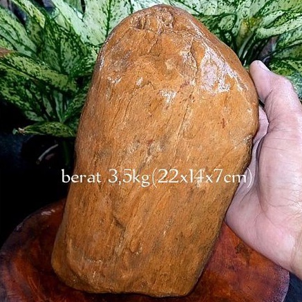 Jual 3,5 kg batu fosil kayu galih kelor(166) | Shopee Indonesia