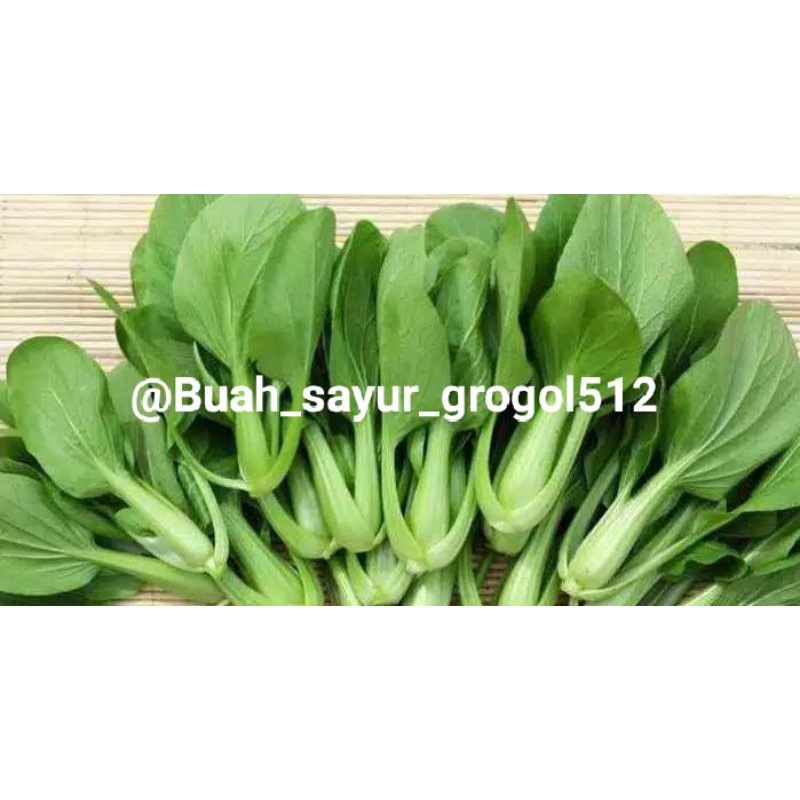 Jual Pakcoy sayur segar _ 250gr | Shopee Indonesia
