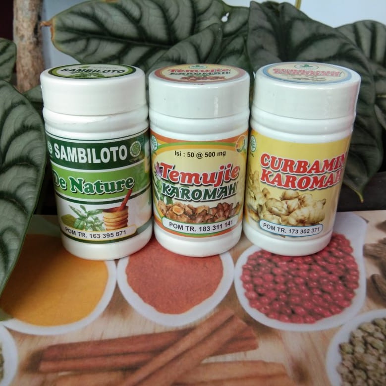 Jual Obat liver gangguan fungsi hati radang hati hepatitis liver kronis ...