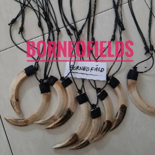 Jual kalung etnik khas kalimantan liontin Tarbi taring babi hutan asli ...