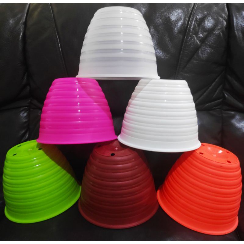 Jual POT 18 dan 21 TANAMAN BUNGA TAWON PUTIH WARNA DAN TRANSPARAN ...