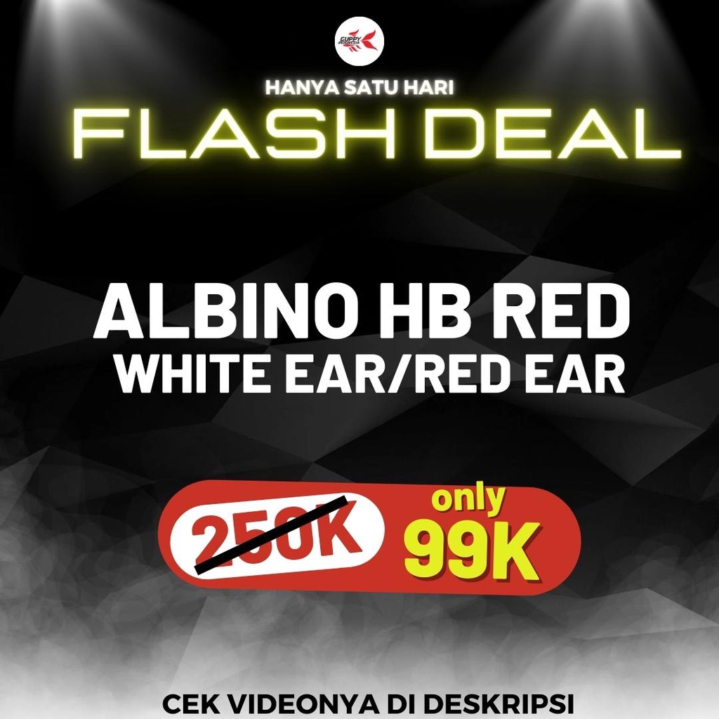 Jual ALBINO HB RED WHITE RED EAR | Shopee Indonesia