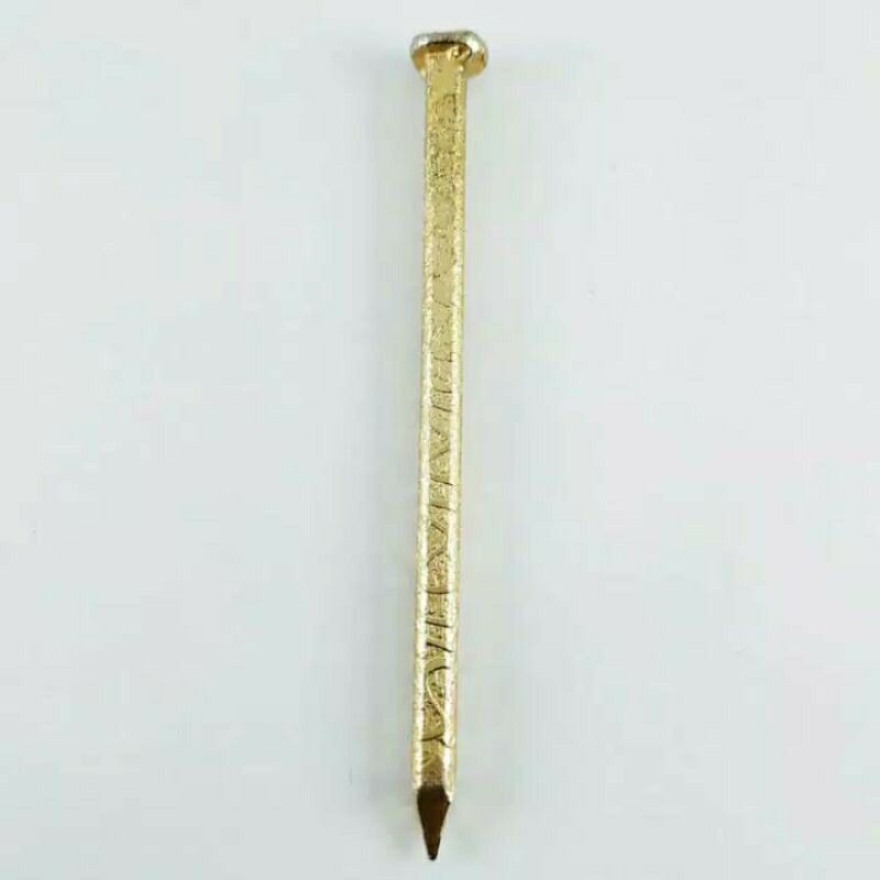 Jual Paku bumi rajah besi kuning | Shopee Indonesia