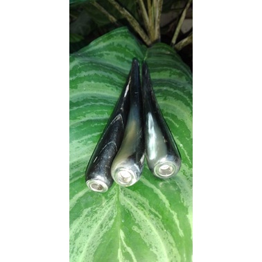 Jual Once/ pipa rokok tanduk kerbau | Shopee Indonesia