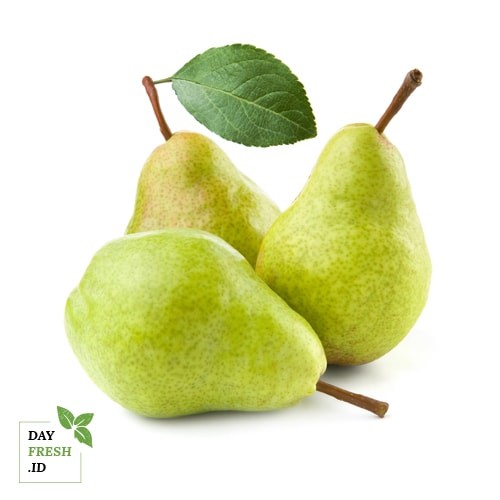 Jual Pear Xiang li | Shopee Indonesia