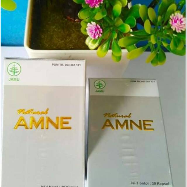 Jual NATURAL AMNE (penambah berat badan) | Shopee Indonesia