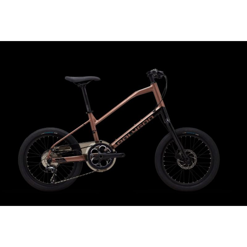 Jual sepeda Polygon zeta 2 mini velo | Shopee Indonesia