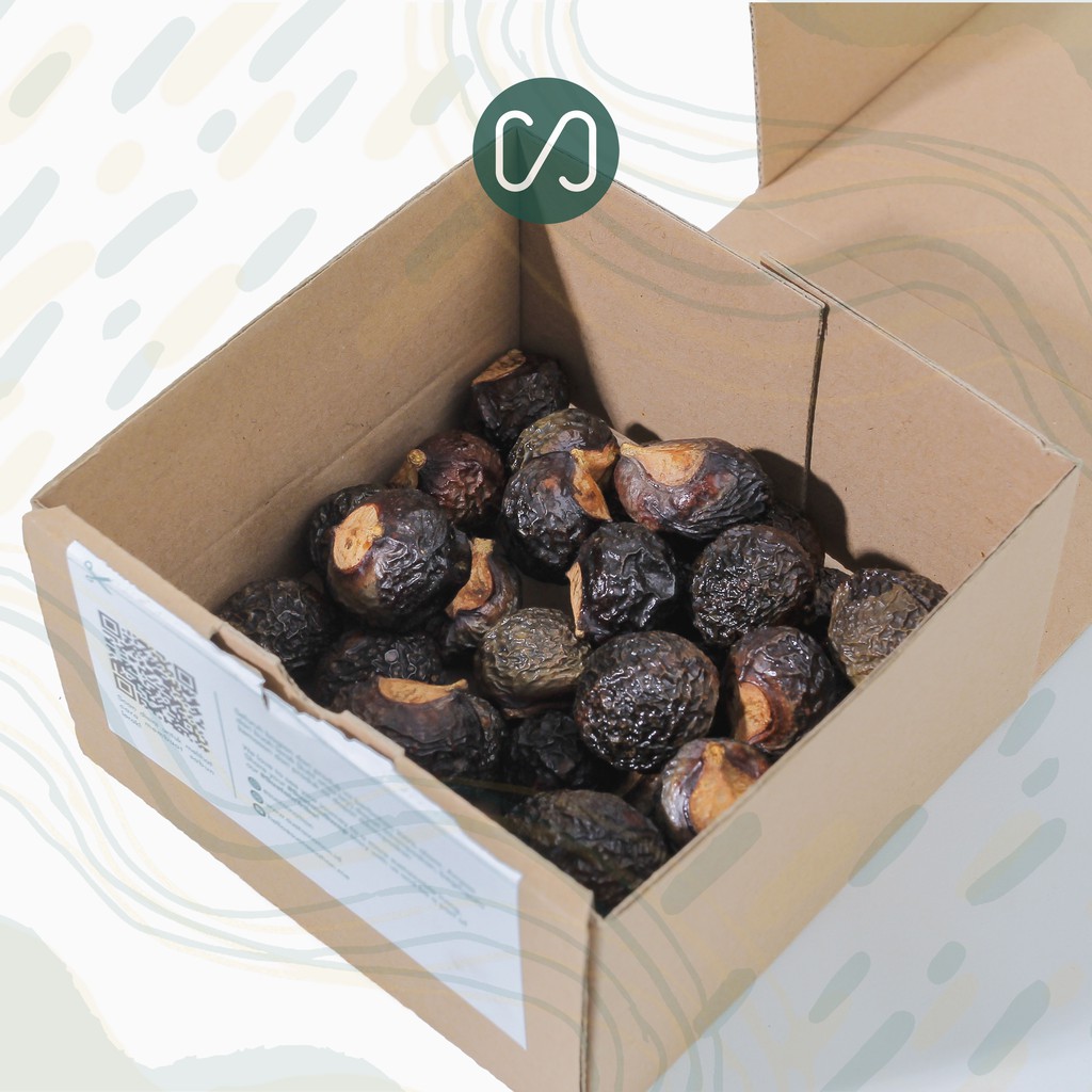Jual Sustaination Buah Lerak Sabun Cuci Deterjen Alami Ramah Lingkungan ...