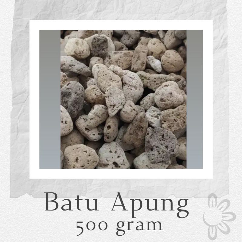 Jual Batu Apung / Pumice 500 gram | Shopee Indonesia