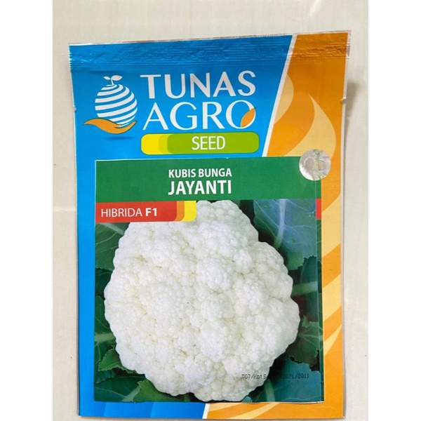 Jual KUBIS BUNGA JAYANTI HIBRIDA F1 TUNAS AGRO | Shopee Indonesia