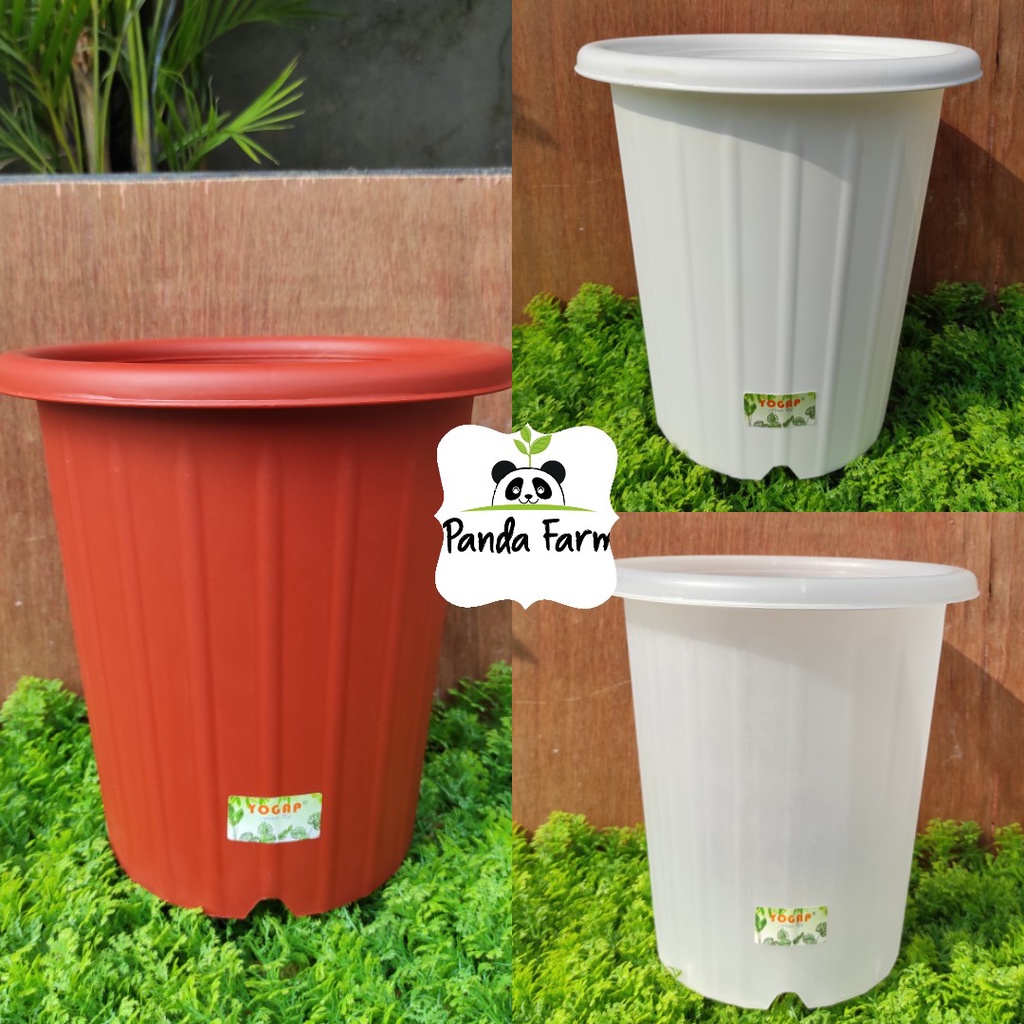 Jual Pot Tinggi Pirus Besar Yogap no 30 - Warna | Shopee Indonesia