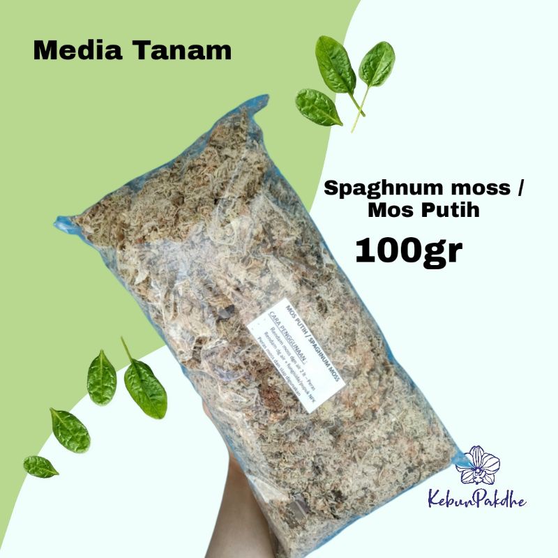 Jual media tanam anggrek mos putih / spaghnum moss 100gr | Shopee Indonesia