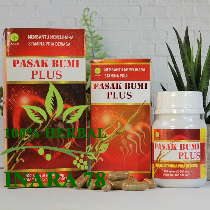 Jual Pasak Bumi Plus 25 Kapsul - Herbal Pria | Shopee Indonesia