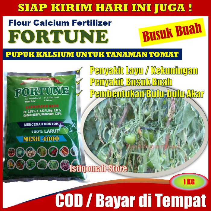 Jual FORTUNE 1 KG Pupuk Obat Semprot atau Kocor Untuk mengatasi dan ...