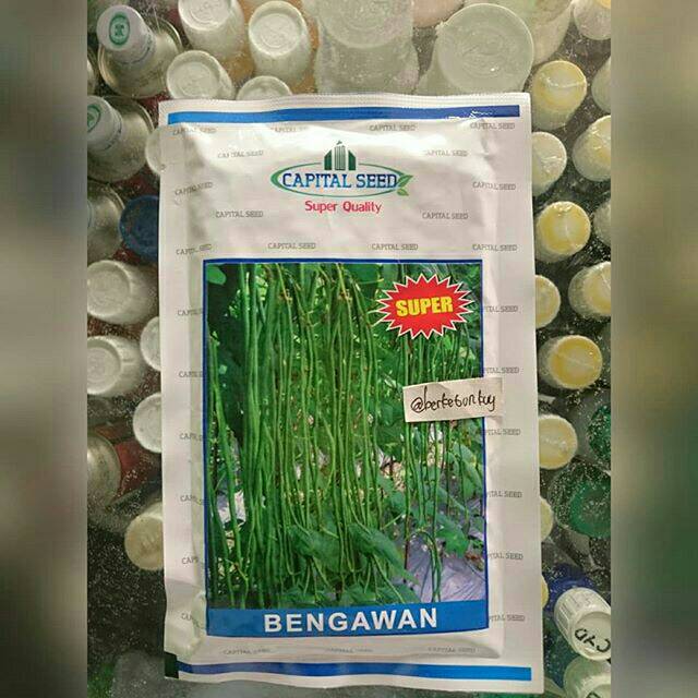 Jual Benih Kacang Panjang BEGAWAN biji hitam putih 100GR | Shopee Indonesia