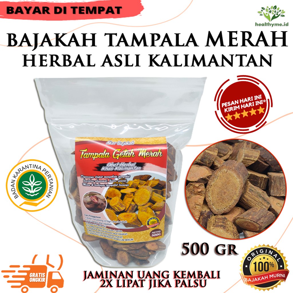Jual Kayu Akar Bajakah Tampala Getah Merah Asli Kalimantan - 500 gr ...