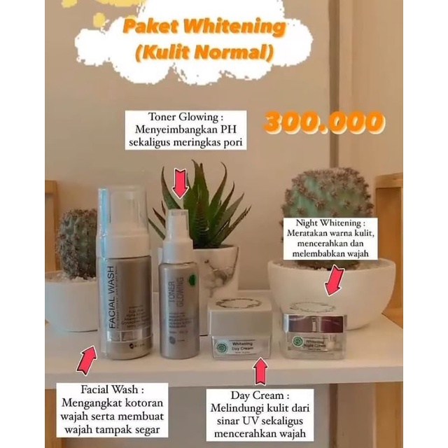 Jual paket whitening ( kulit normal ) | Shopee Indonesia