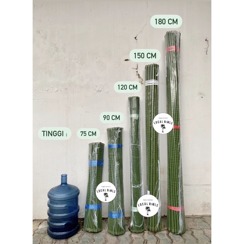 Jual ajir takiron tinggi 180 cm | Shopee Indonesia