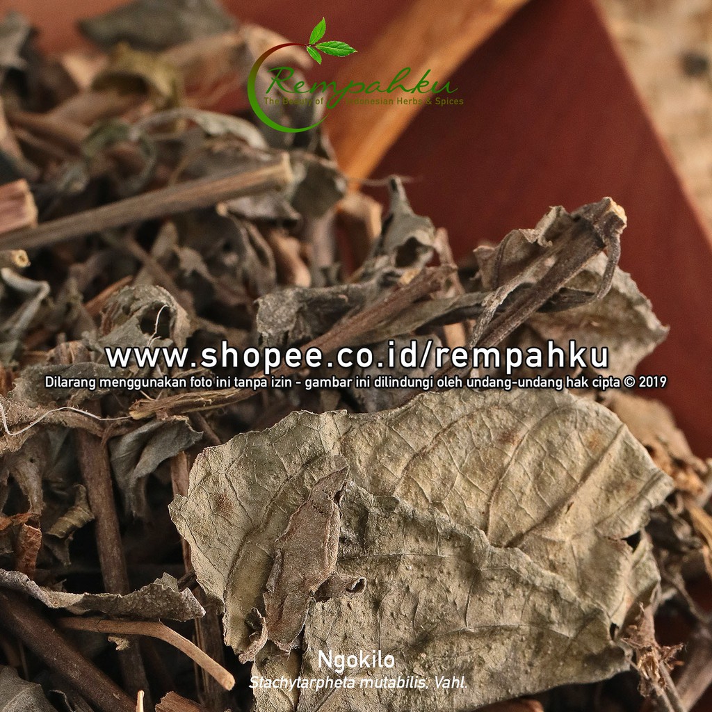 Jual Rempahku - Daun KEJI BELING 10gr Ngokilo Pecah Beling Ngukilo Jamu ...