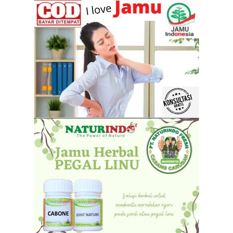 Jual Obat Pegal Linu Linu Badan Sakit Capek Kaku Jamu Herbal Letih ...