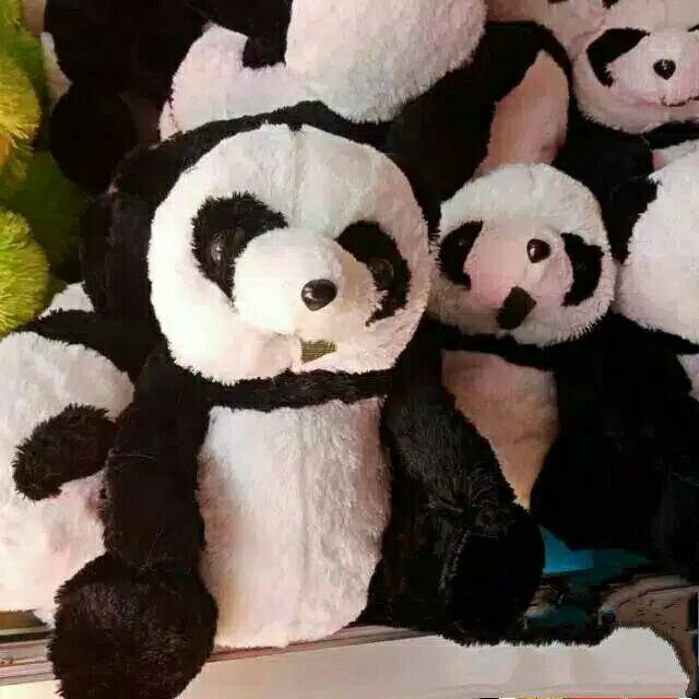 Jual Boneka panda lucu size s | Shopee Indonesia