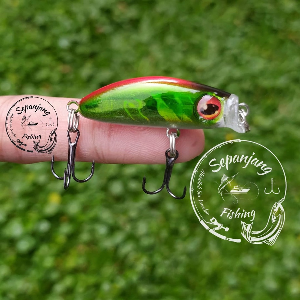 Jual Mini Minnow hybrid ~ 4 cm / 3 gram ~ slow sinking ~ micro minnow ...