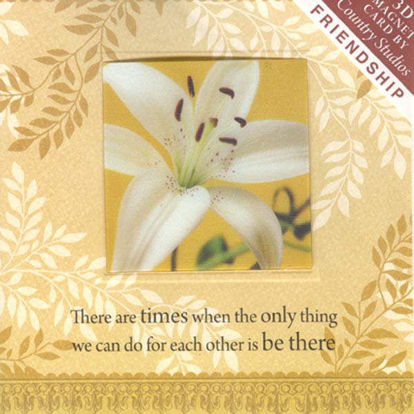 Jual 3D Card With Magnet Card Gambar Bunga Putih | Shopee Indonesia