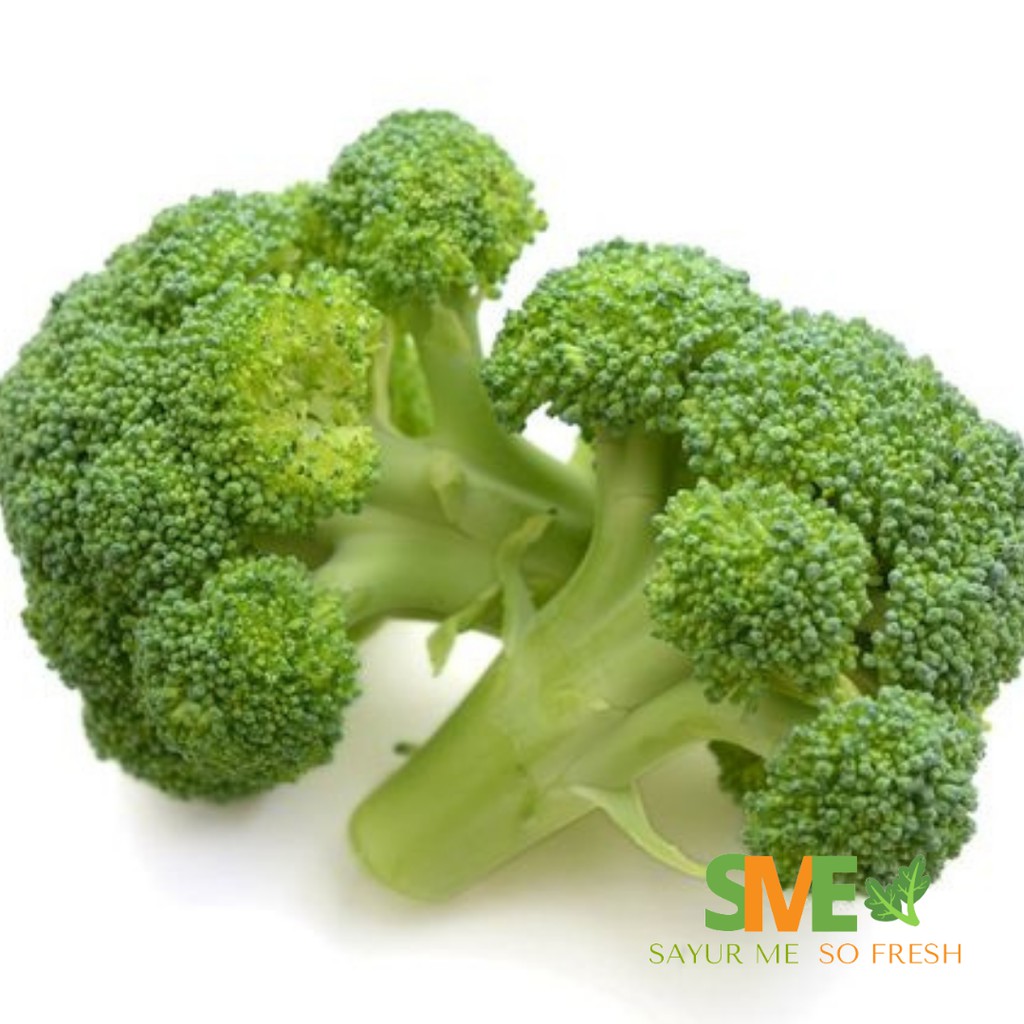 Jual Brokoli Segar 500 gram atau 1/2 kg | Shopee Indonesia