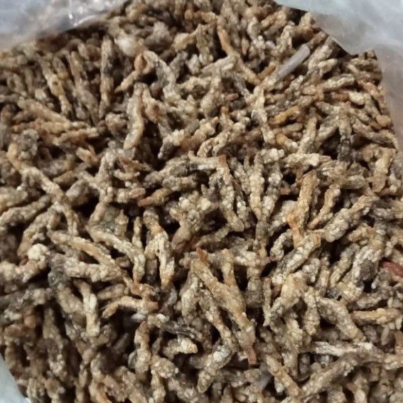 Jual Lorjuk Goreng Siap Saji / Kerang Bambu (100 gram) | Shopee Indonesia