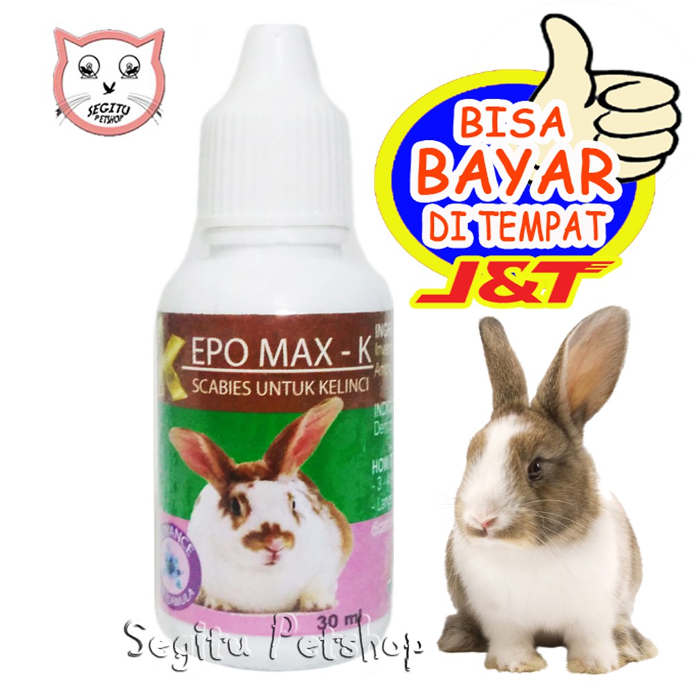 Jual OBAT JAMUR KORENG KELINCI SCABIES KEPO MAX K ORAL | Shopee Indonesia