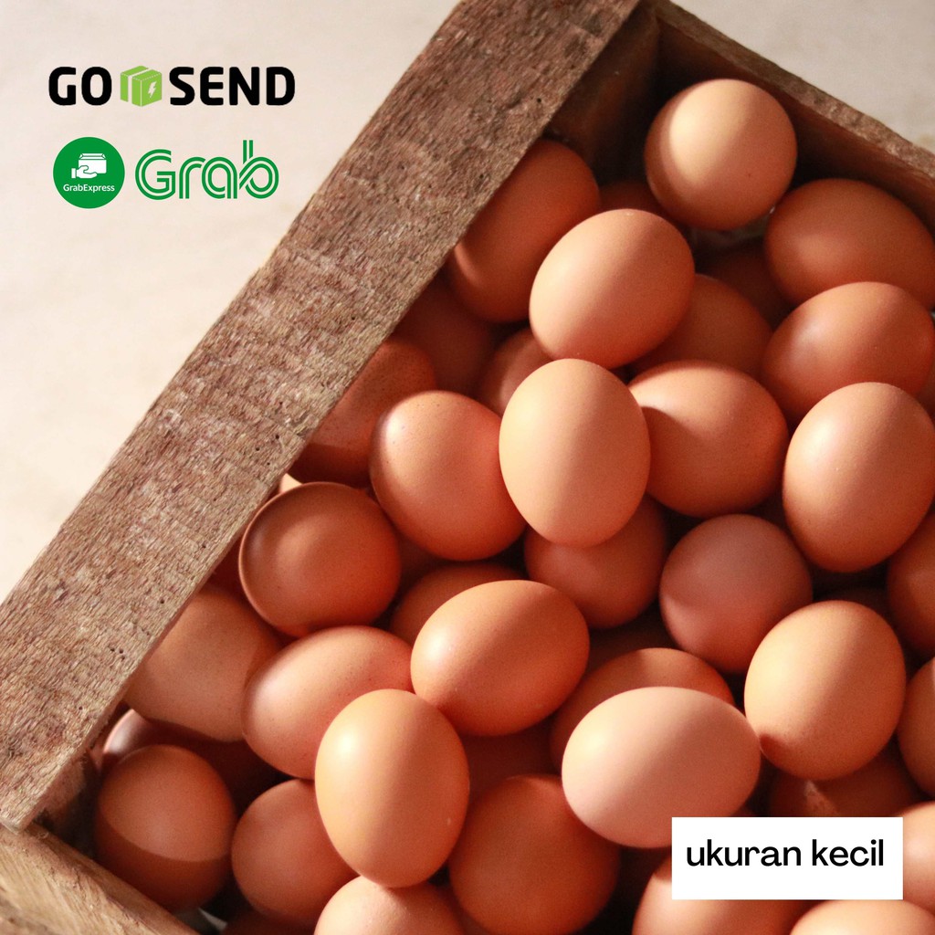 Jual Telur / Telor Ayam Fresh (per kg) ukuran kecil | Supplier ...