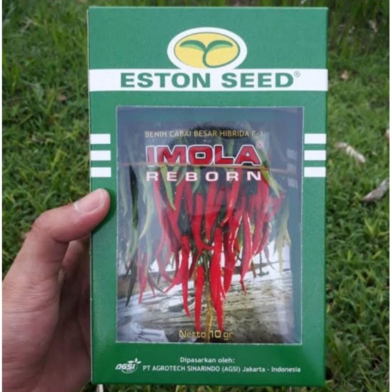 Jual benih bibit cabe terbaik IMOLA reborn dari ESTON SEED isi+/-10 ...