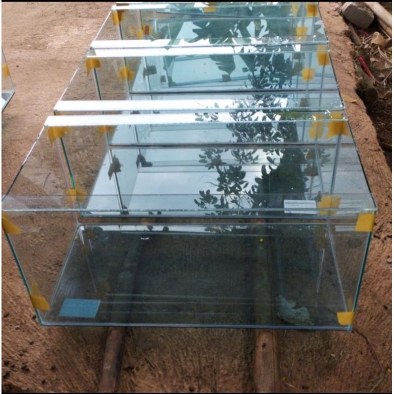 Jual aquarium kaca polos bening / list hitam 50cm | Shopee Indonesia