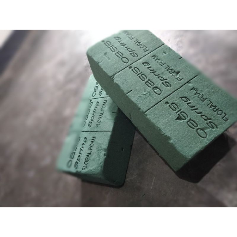 Jual oasis basah | Shopee Indonesia