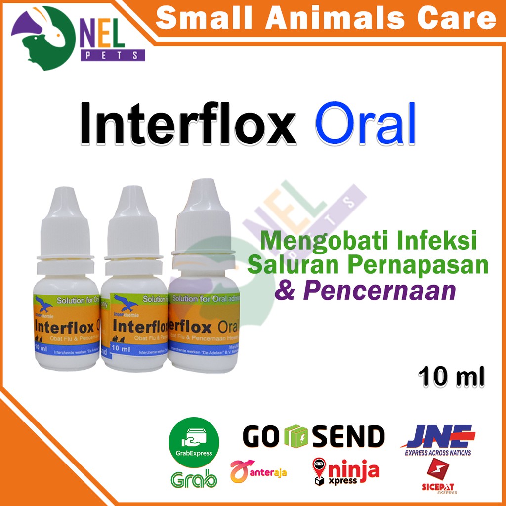 Jual OBAT FLU KELINCI INTERFLOX 10 ml / OBAT INFEKSI PERNAPASAN HEWAN ...