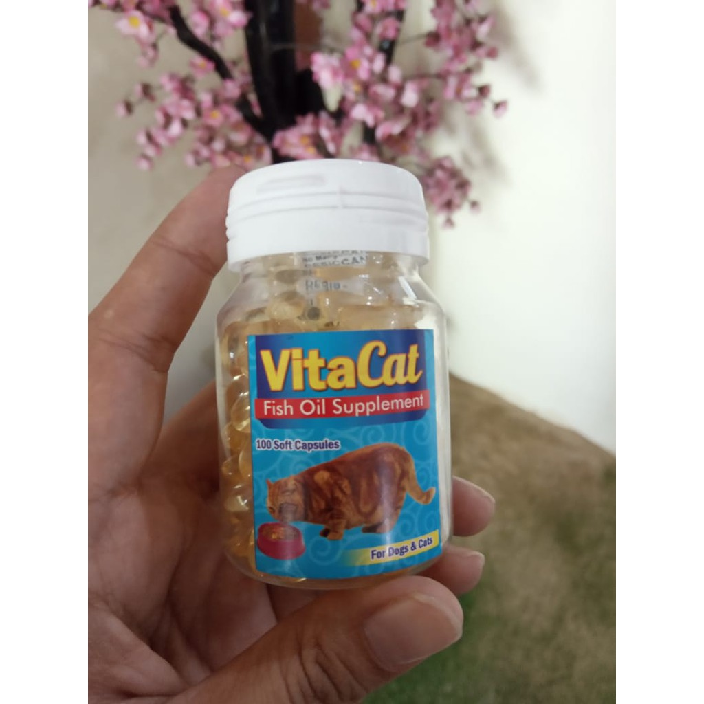 Jual VitaCat Fish oil Supplement Vitamin Anjing Kucing | Shopee Indonesia