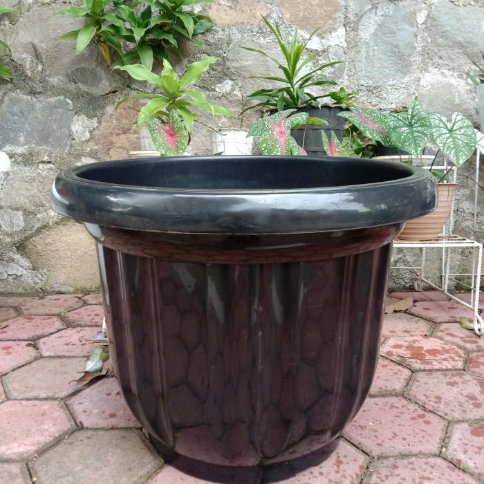 Jual POT JUMBO PUTIH EBONY UKURAN 60CM | Shopee Indonesia